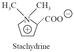 Alkaloids Derived from Ornithine