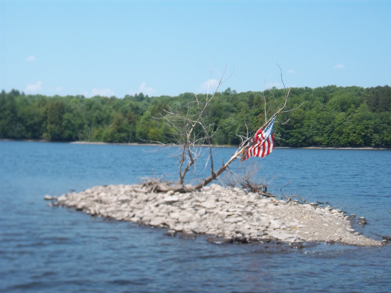Fishing & Hunting in Oswego County, NY: Salmon River Reservoir: Island Bass