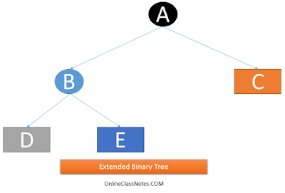What is Tree in Data Structure? Explain different types of trees ...