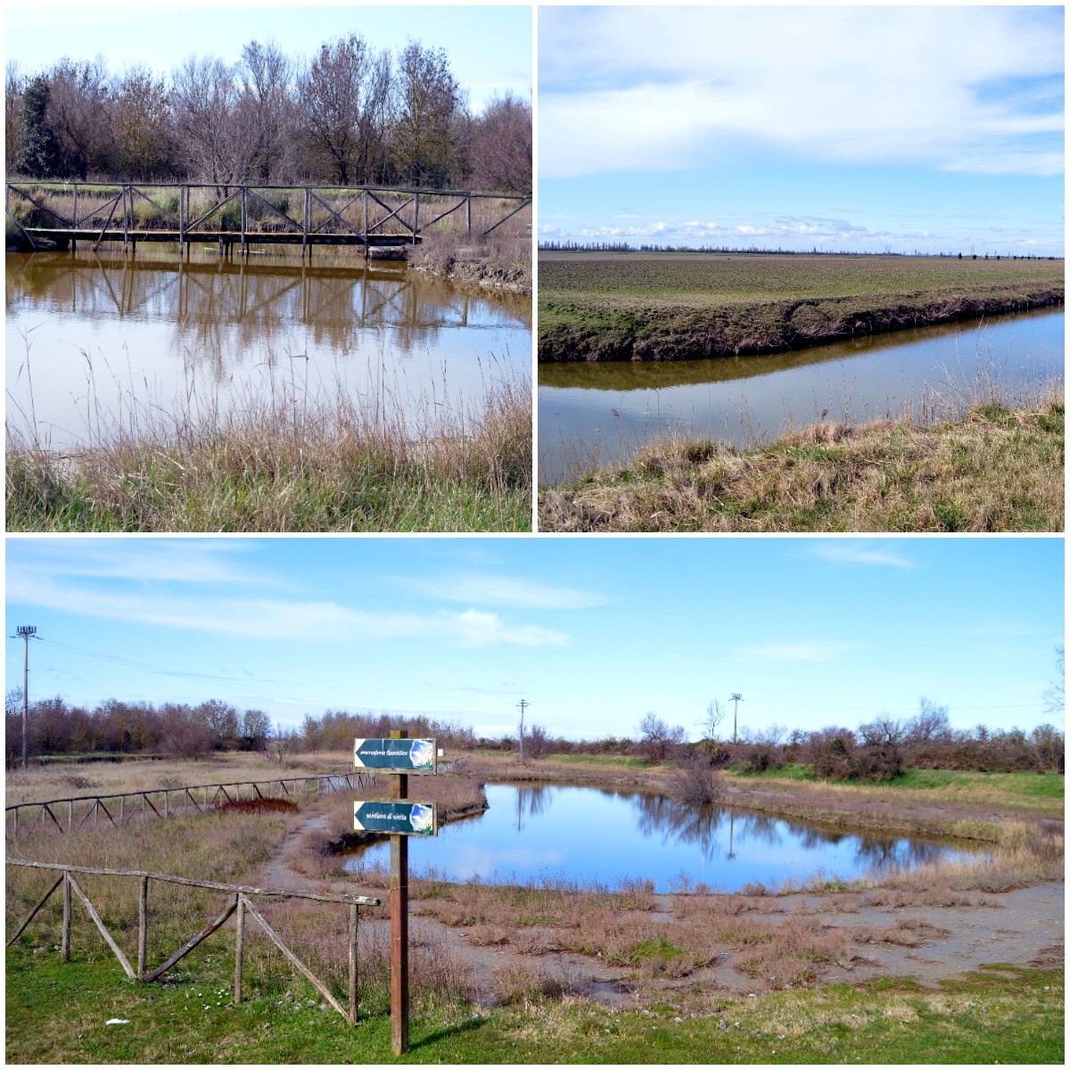 Un itinerario alla scoperta del Delta del Po: ecco cosa vedere ...