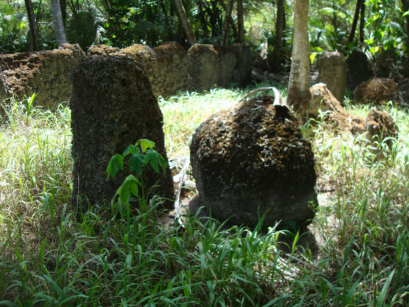 paleric: MOCHONG LATTE SITE IN LUTA