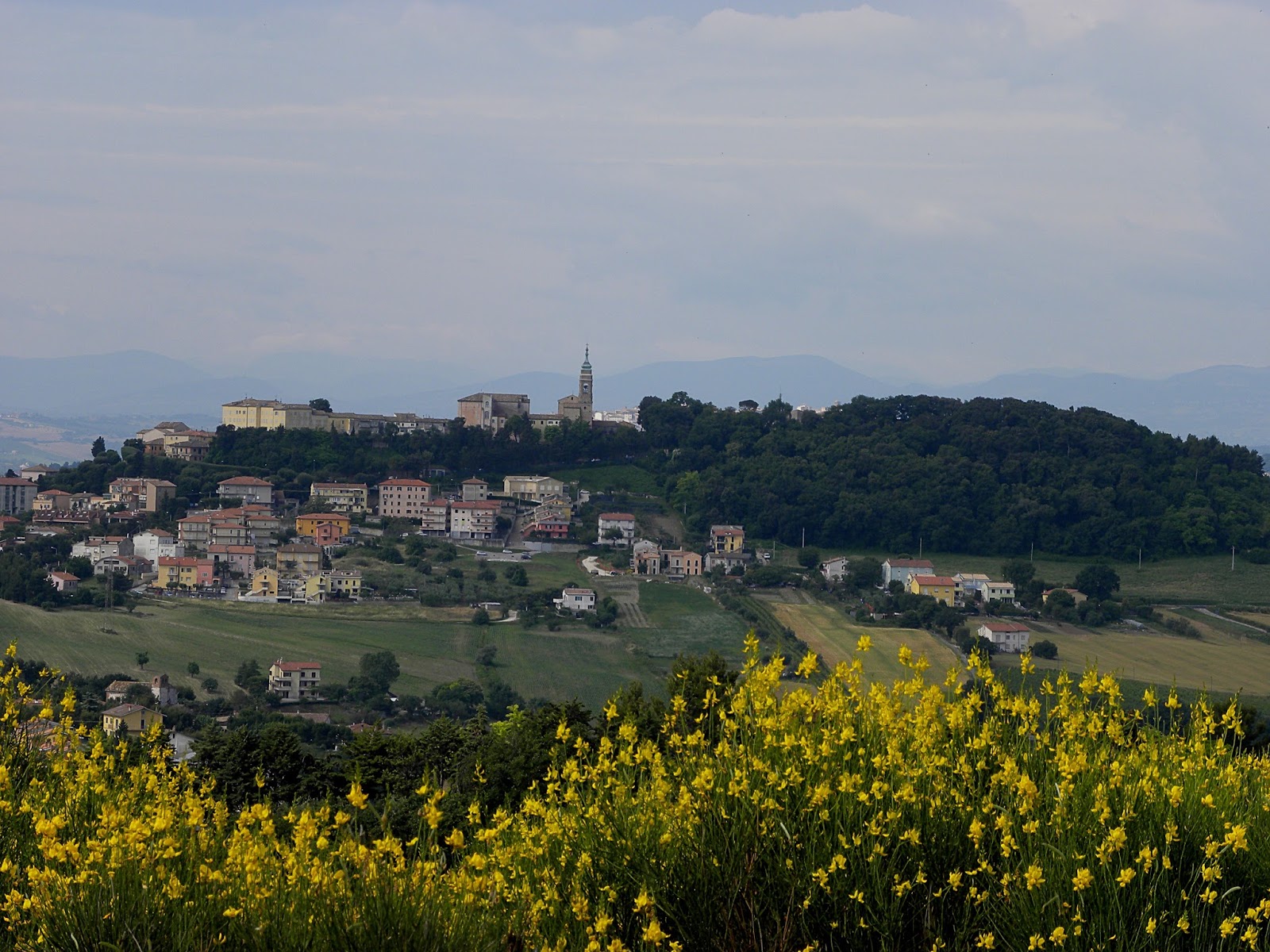 Camerano ( AN ), terra del Rosso Conero - THE MARCHE EXPERIENCE