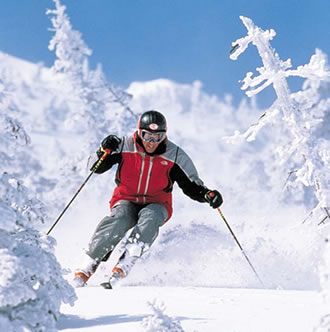 esqui: ¿Que es el esqui?