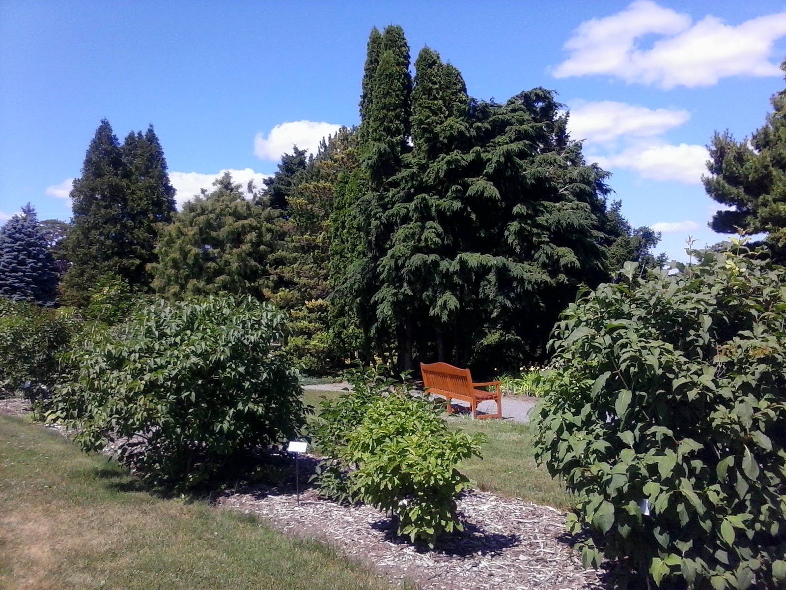 Ottawa Daily Photo: Ornamental Garden