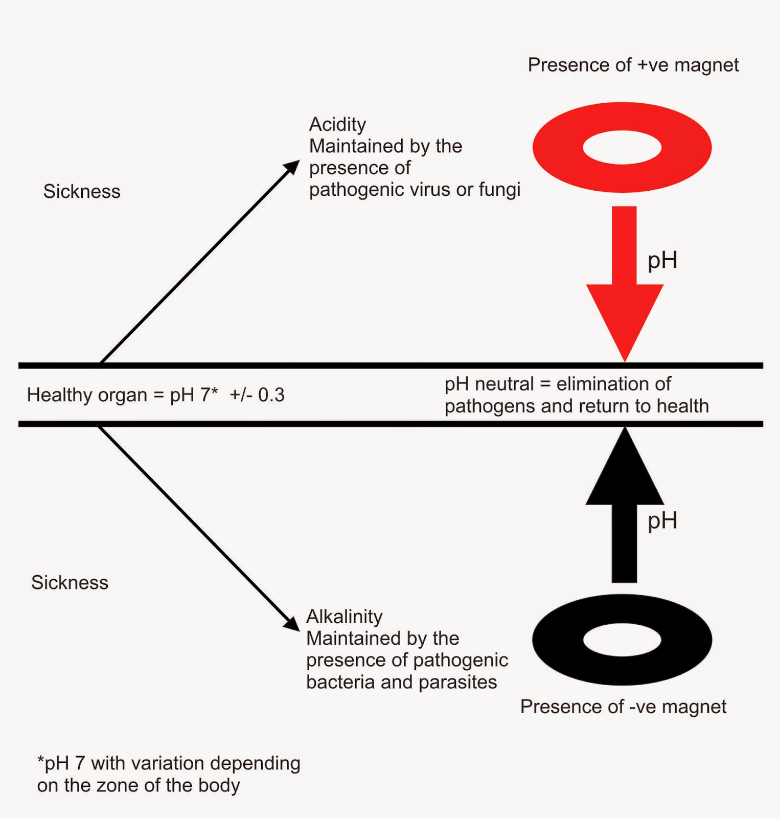 Dr. Isaac Goiz Durán & The Biomagnetic Pair