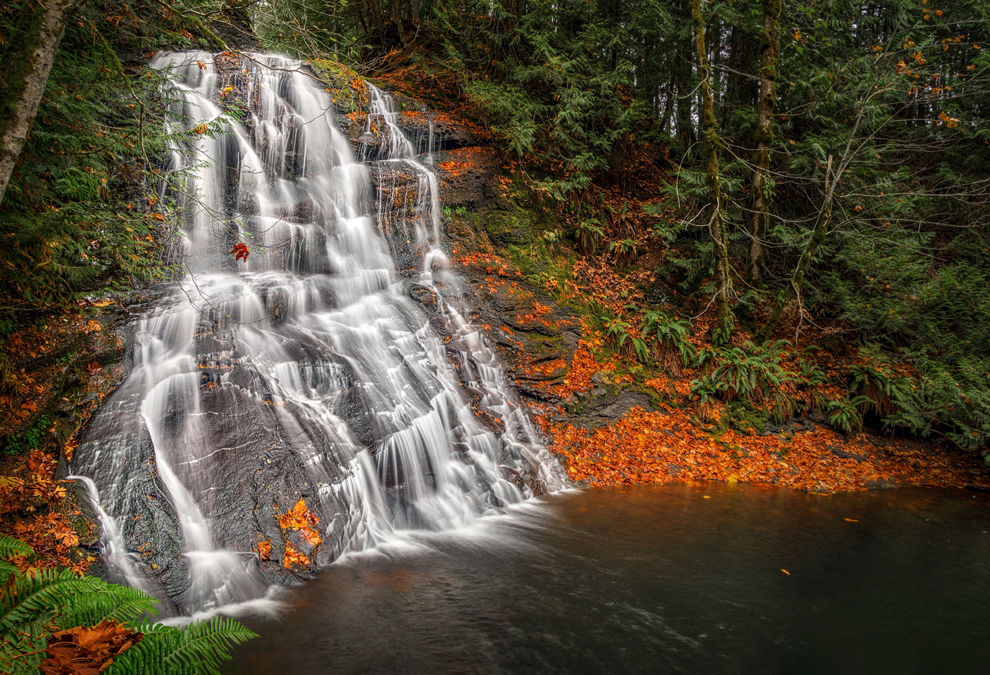 Gordon Pritchard's Photography: Chase River Falls, Colliery Dam Park ...