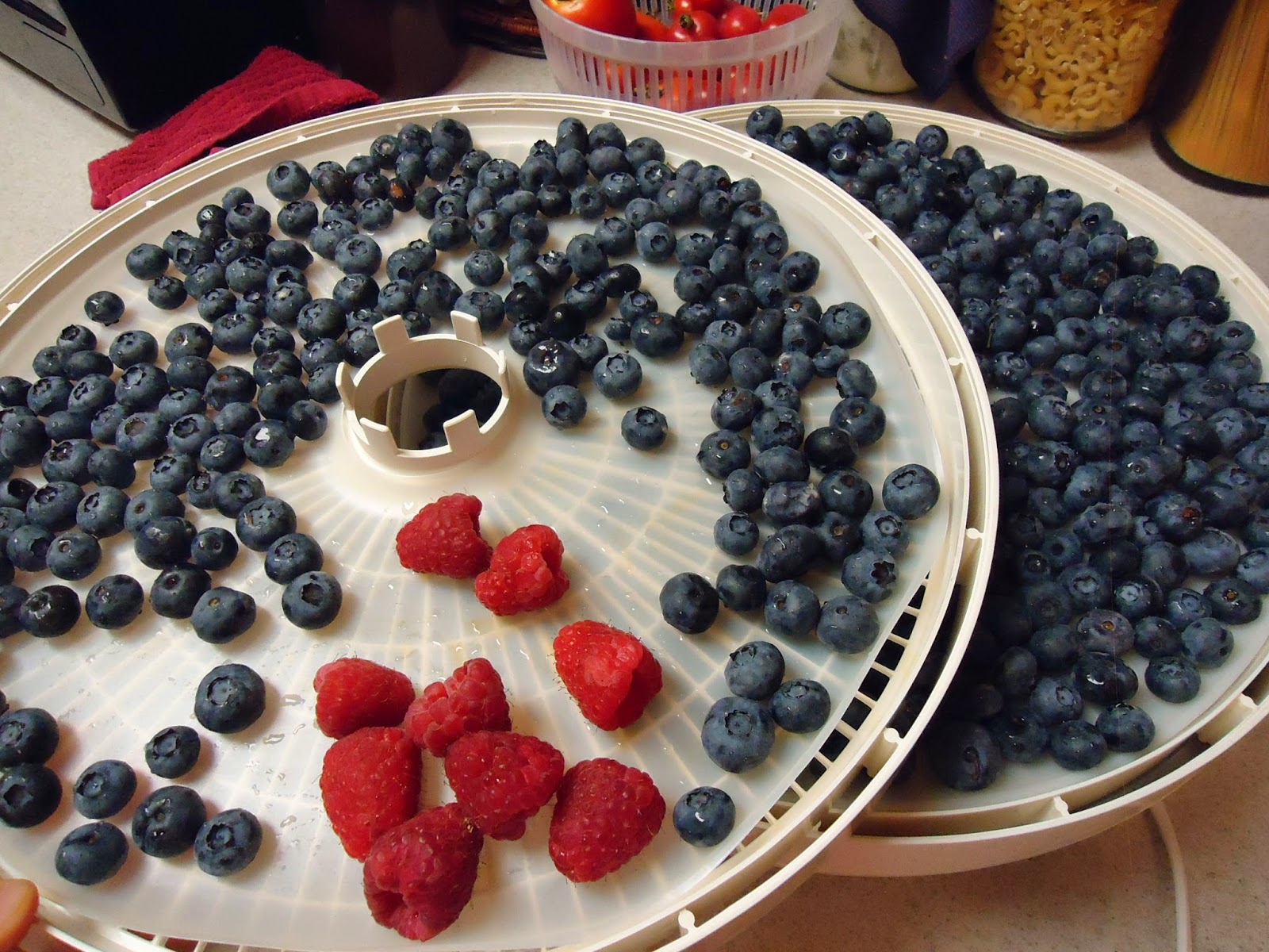 Homeschool On the Range: Home Preservation Basics : Canning, Freezing ...