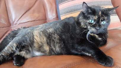 Clementine Crow. A Breathtaking Experience. Especially If You Have Asthma.