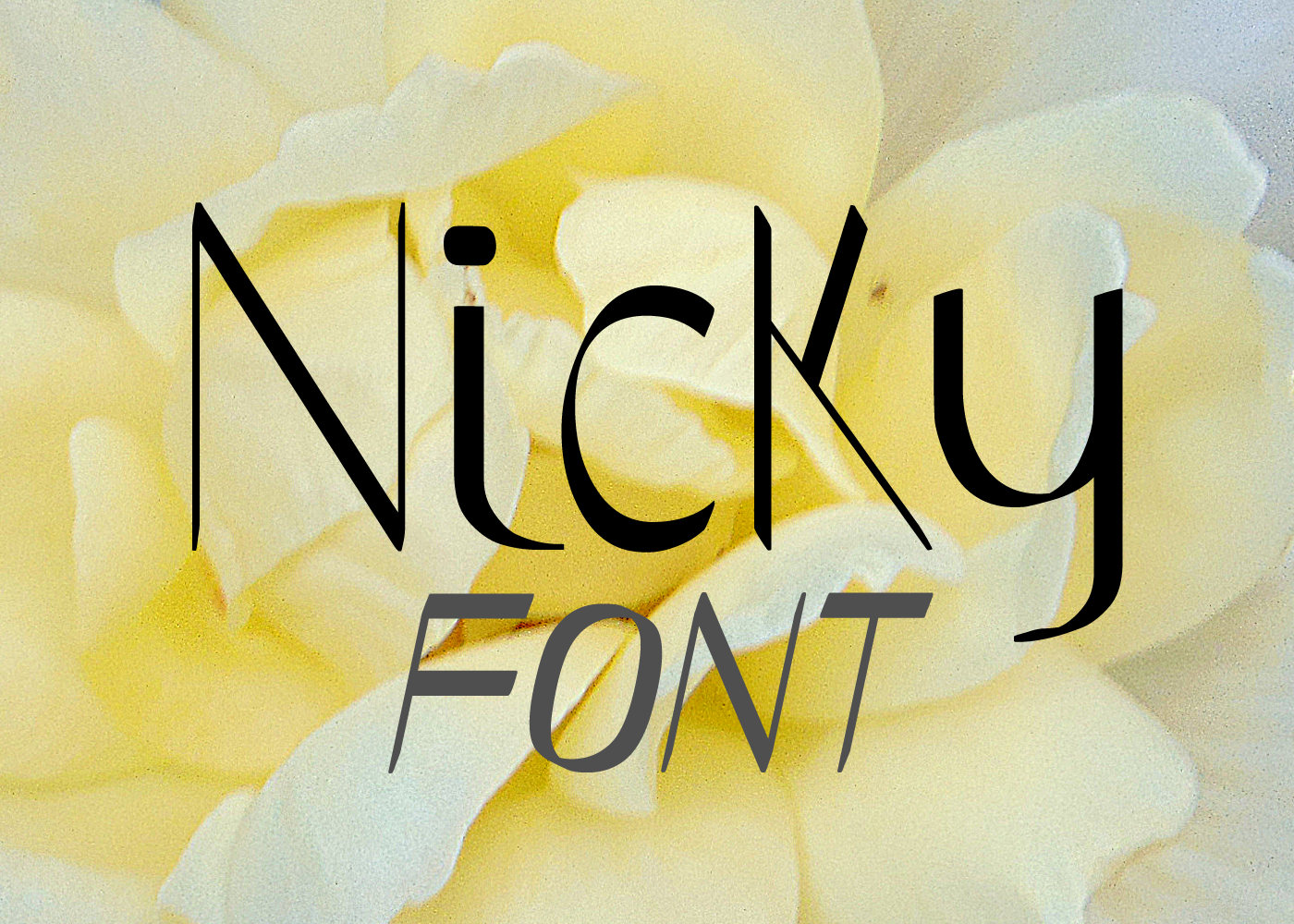 PVF Nicky #Free Book Style Opentype #Font