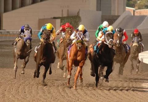 Top 31 Amazing And Dashing Horse Racing Wallpapers In HD