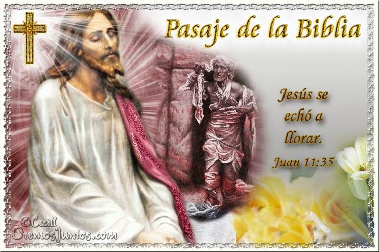 Vidas Santas: Santo Evangelio según san Juan 11:35