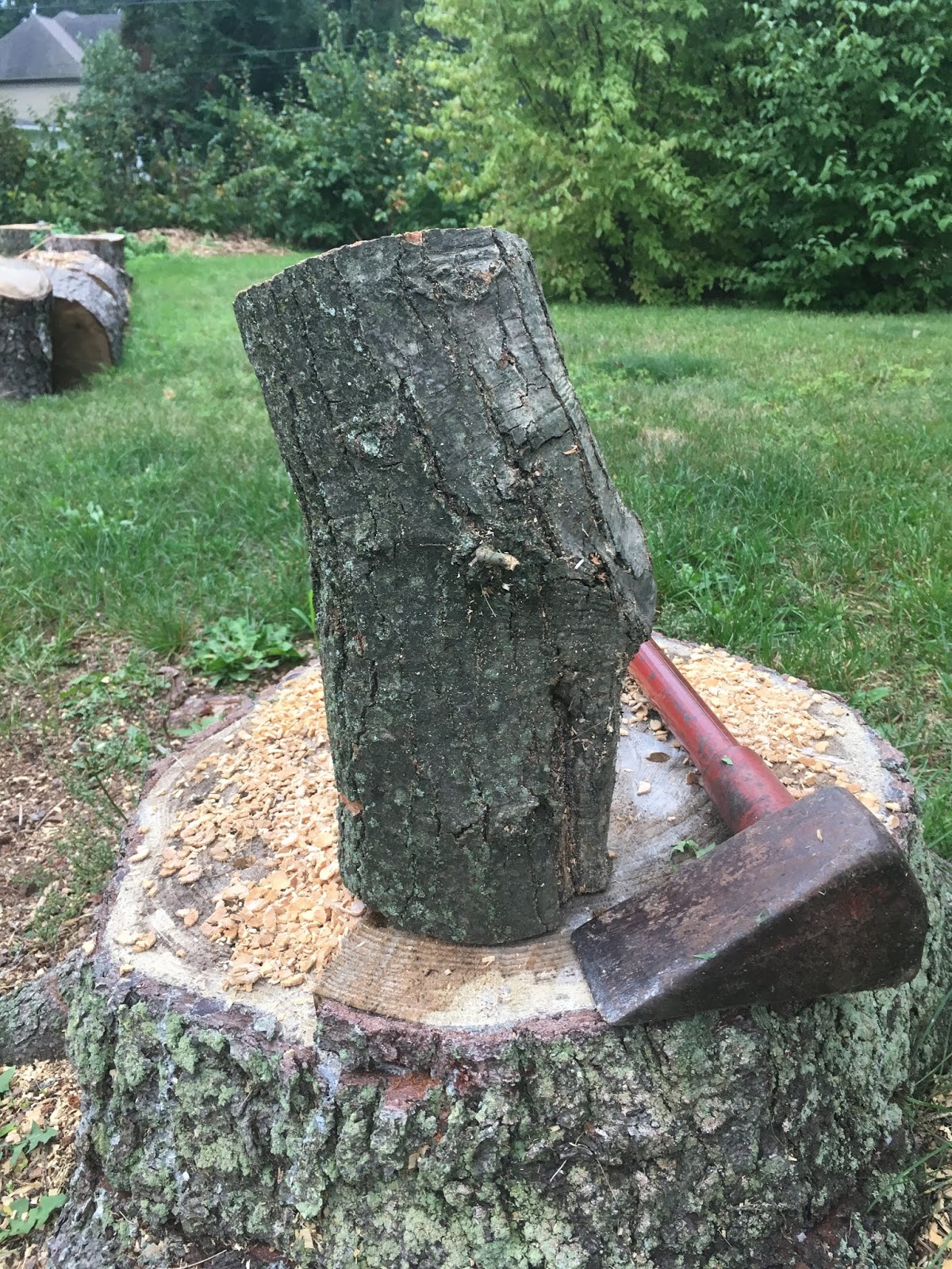 Of Splitting Oak and People (and How to Prevent the Latter) - resilience