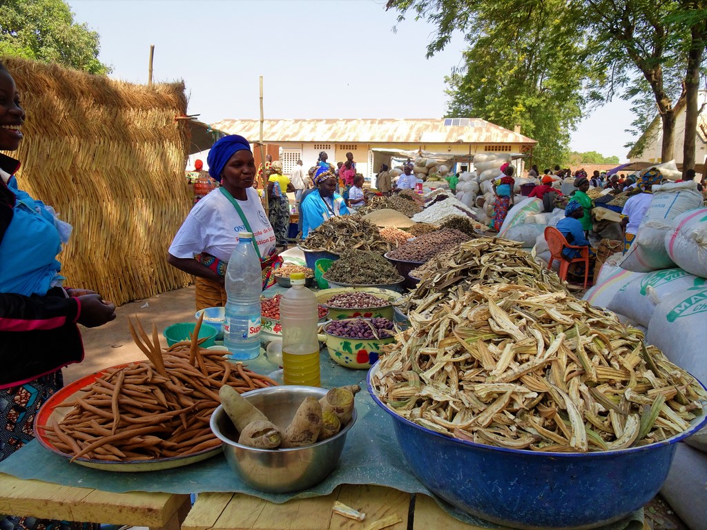 en direct depuis Bozoum: Foire de Bouar