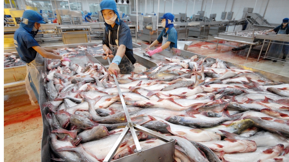 Les 6 espèces de poissons dangereux que vous ne devriez jamais manger