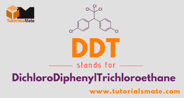 DDT Full Form: What is the full form of DDT? - TutorialsMate