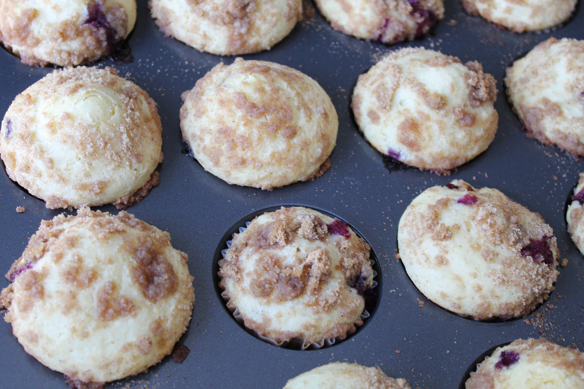 The Best, Fluffiest, Blueberry Muffins