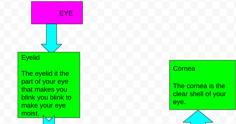 Oakley@Hornby Primary School: eye flowchart