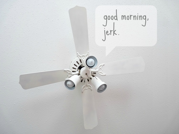 Ceiling Fans Are Ugly at Jon Lefebre blog