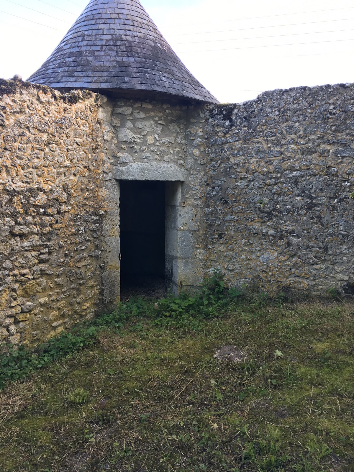 New York Life-Day by Day: Visit to Chateau D'Avaray 2017.The Loire ...