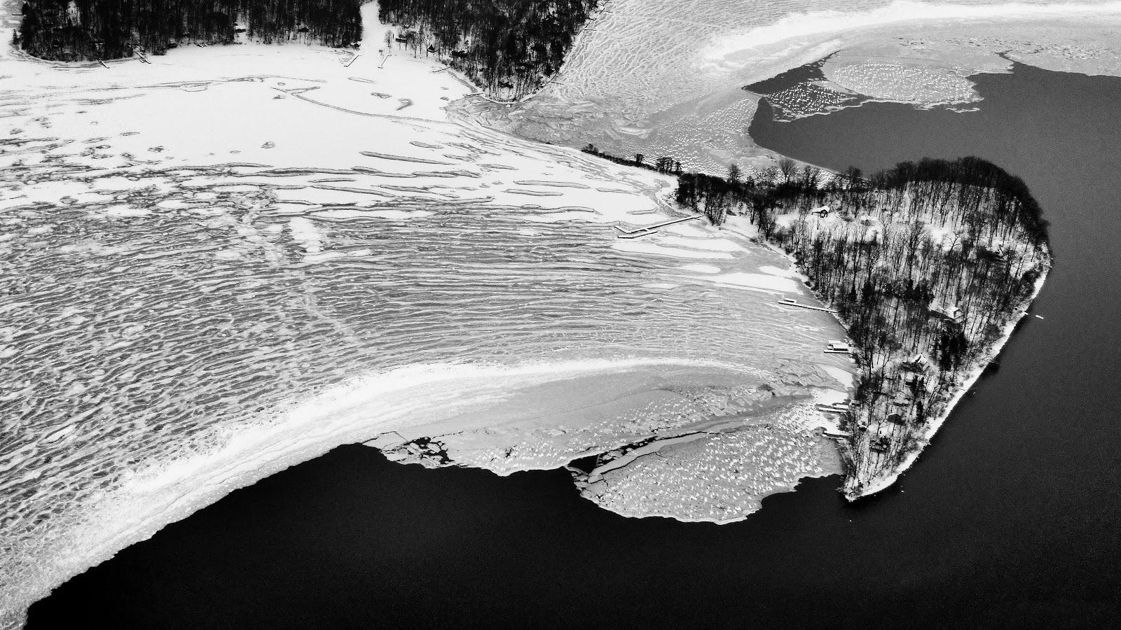 Photographic Logbook: Grayscale