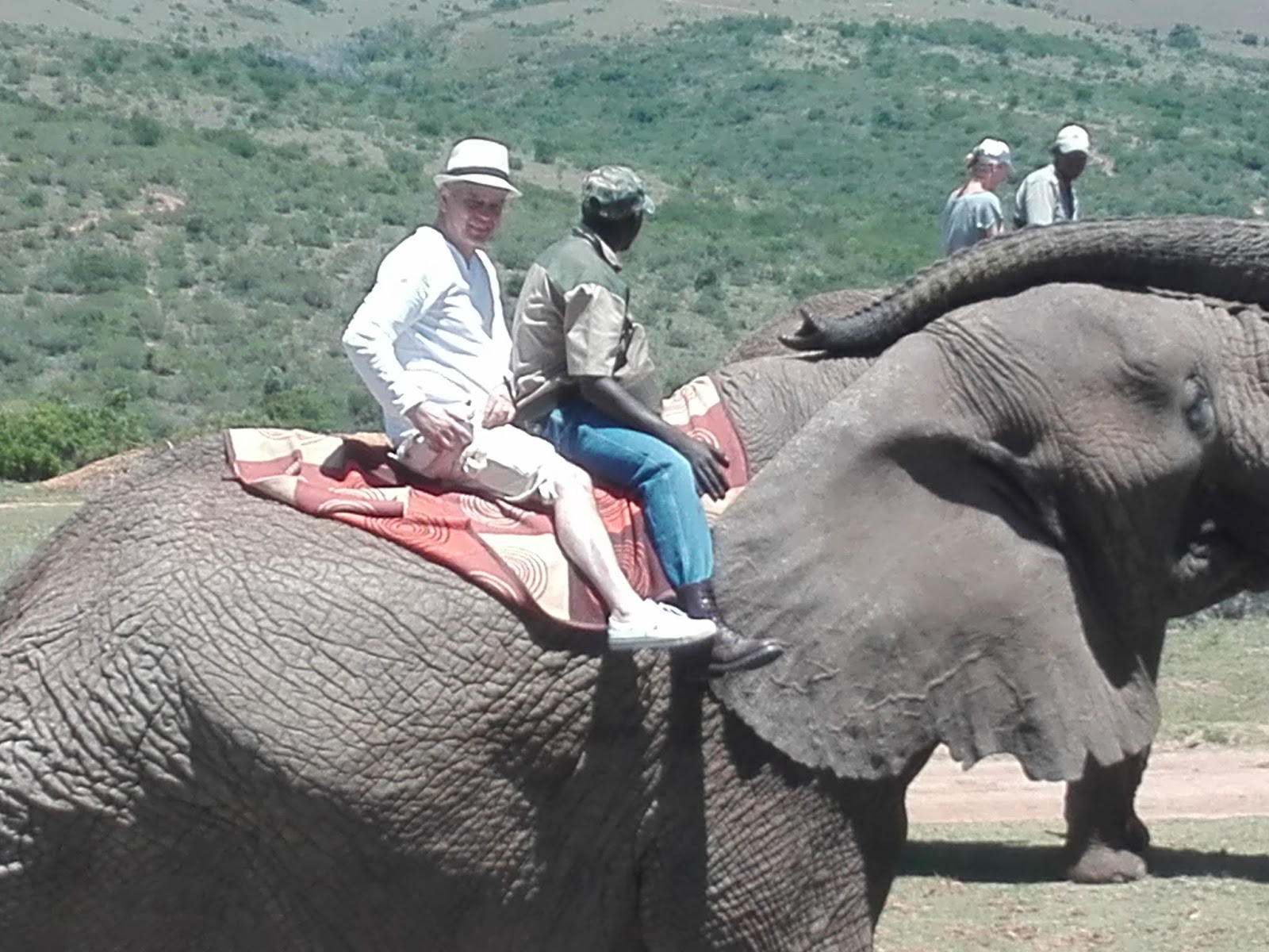 PETER GIDDY.: Elephant Back Safari -- Riding on an Elephant and ...