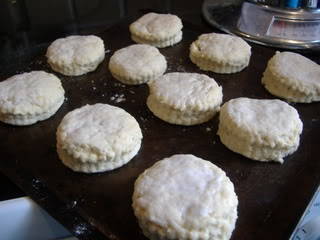 Plain Scones, a complete tutorial | The English Kitchen