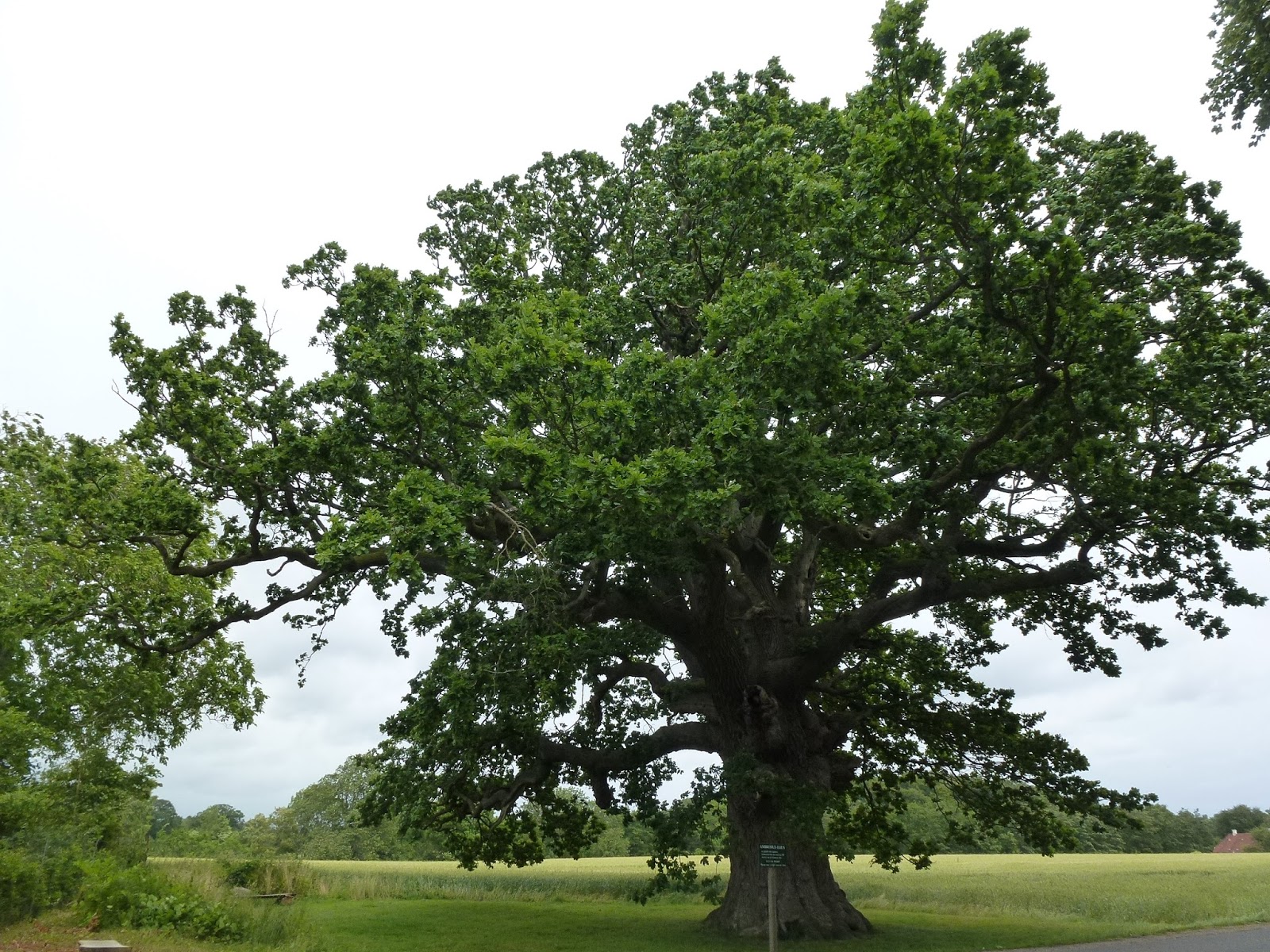 BEAUTIFUL DENMARK: Tåsinge
