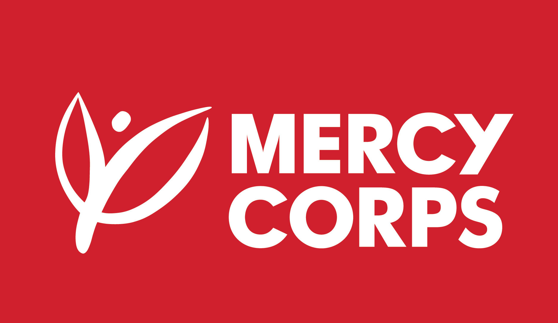 LAS 10 ONG MÁS IMPORTANTES DEL MUNDO