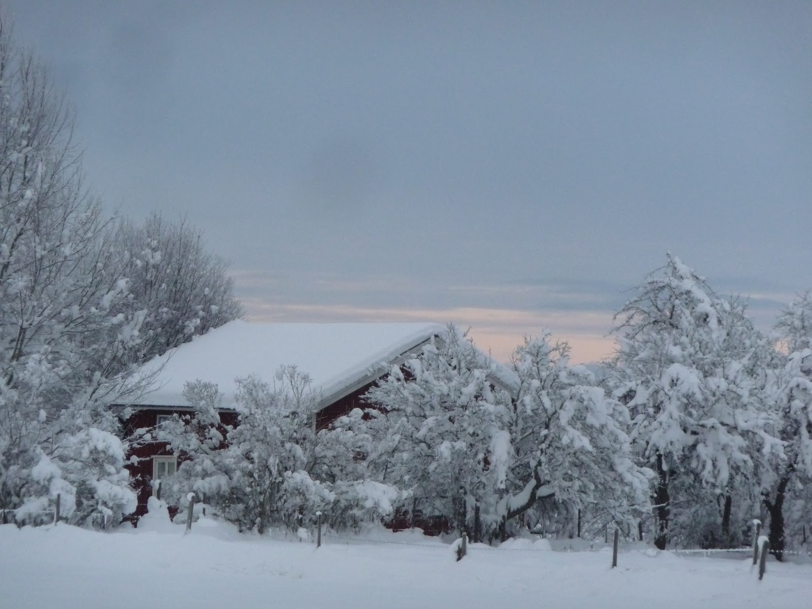 Niras blogg: Fin fina vinterbilder!