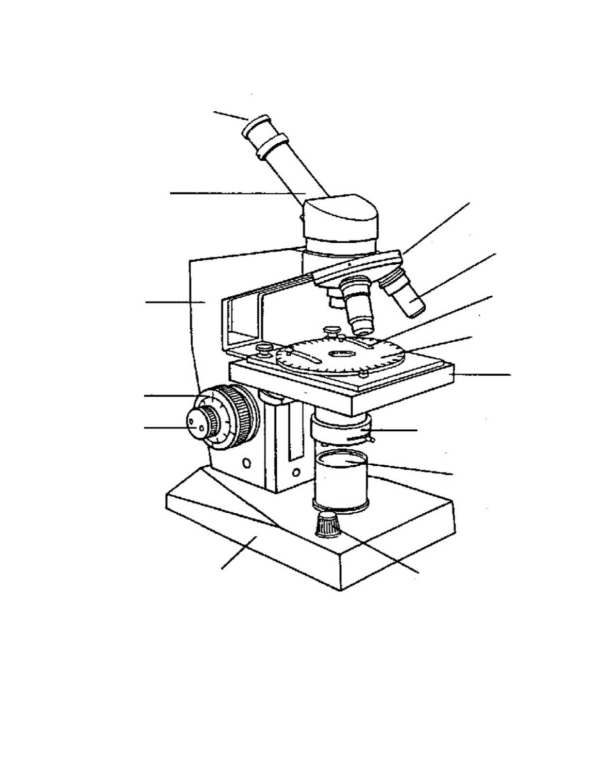 Informe Lab De Biologia Normas Del Laboratorio Y Uso Del Microscopio