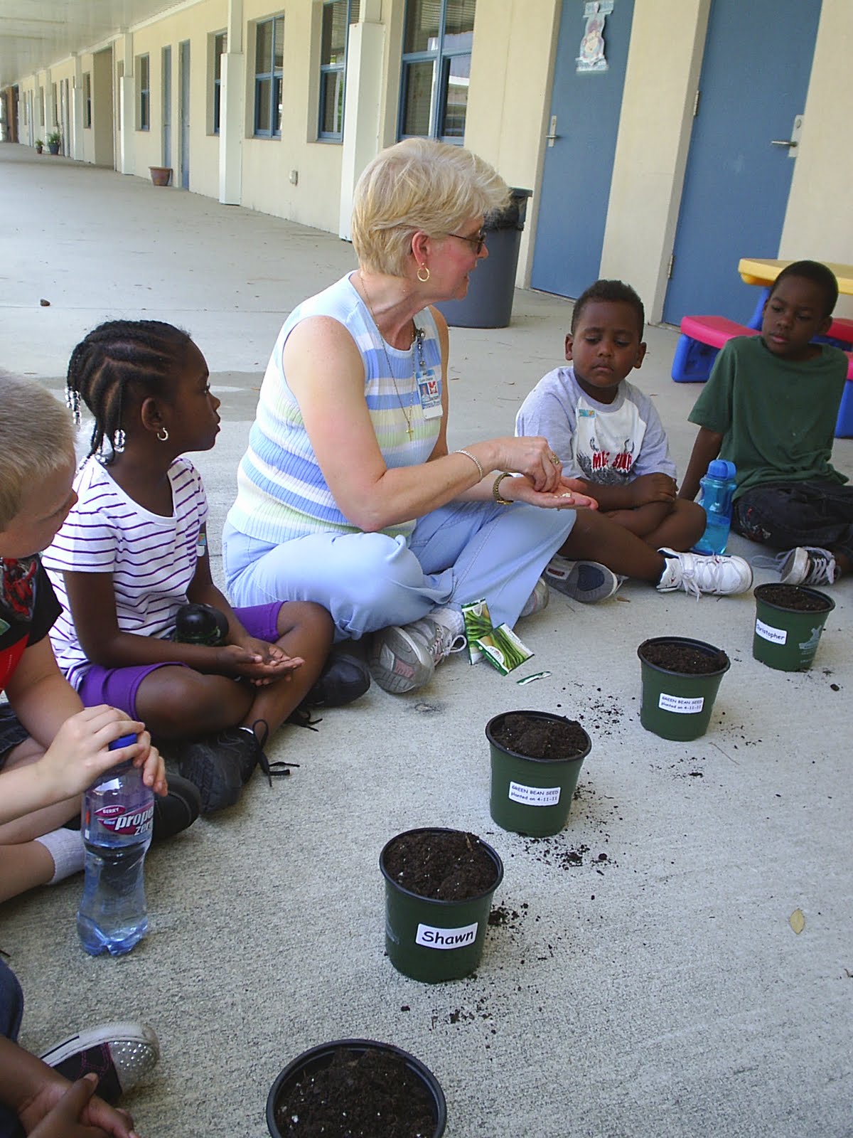 Mrs. Doiron's Kindergarten Class: Planting Bean Seeds