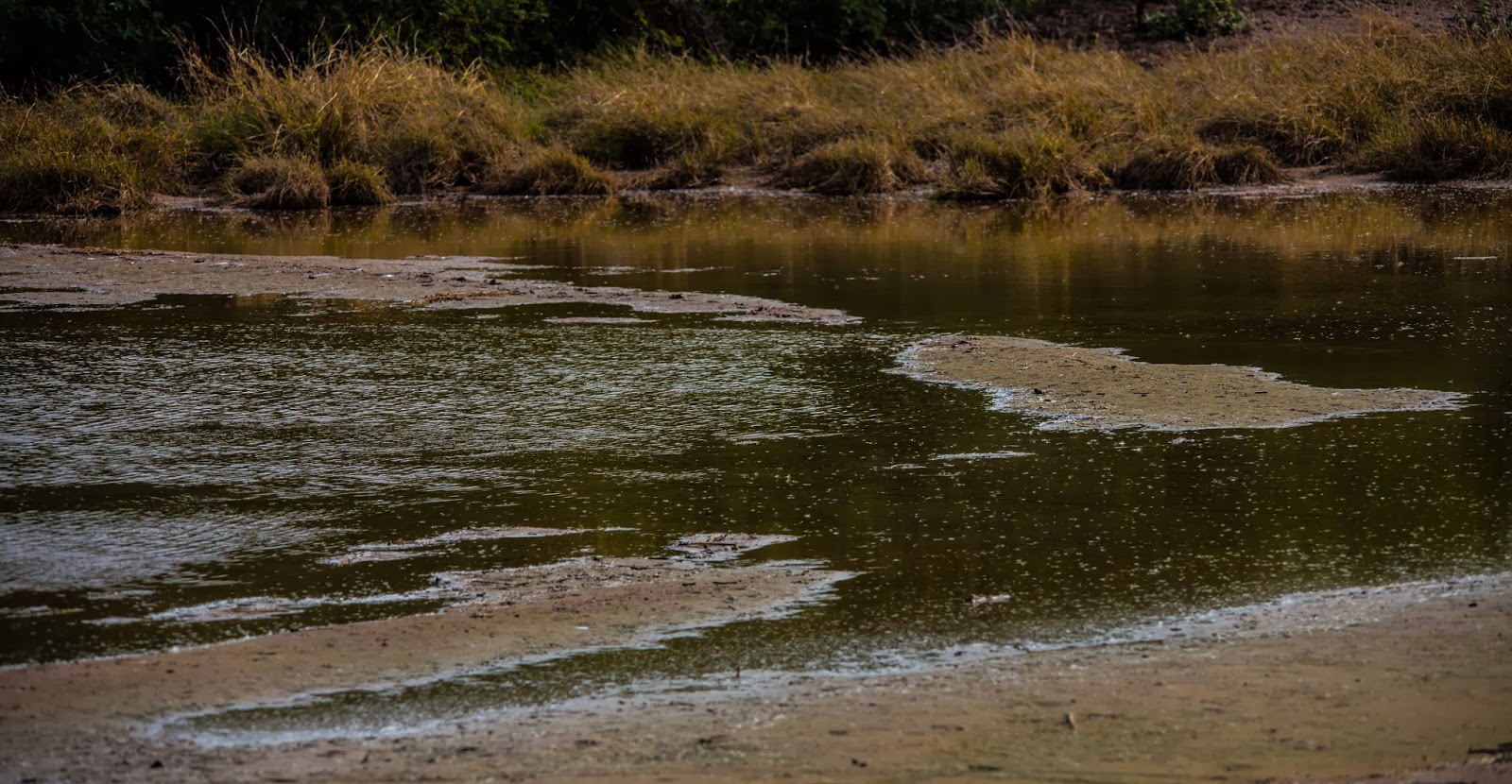 Walking Arizona: Mud Flats