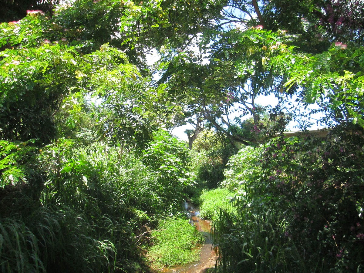 Honouliuli Ewa Traditional Cultural Properties: Honouliuli Village TCP ...