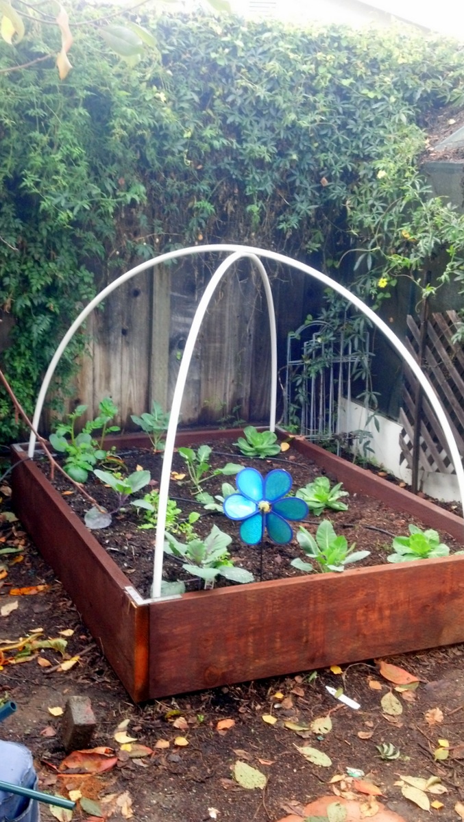 QT's Random Ramblings: Garden Tutorial - How to make a super-cheap hoop ...