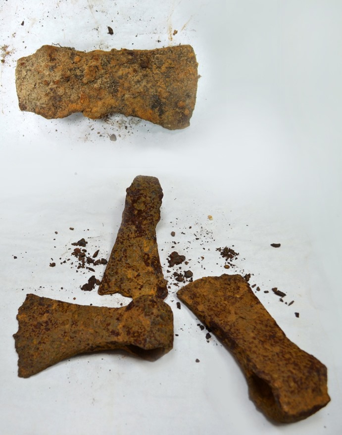 Ştiinţă pentru toţi: UNELTE DACICE DIN FIER