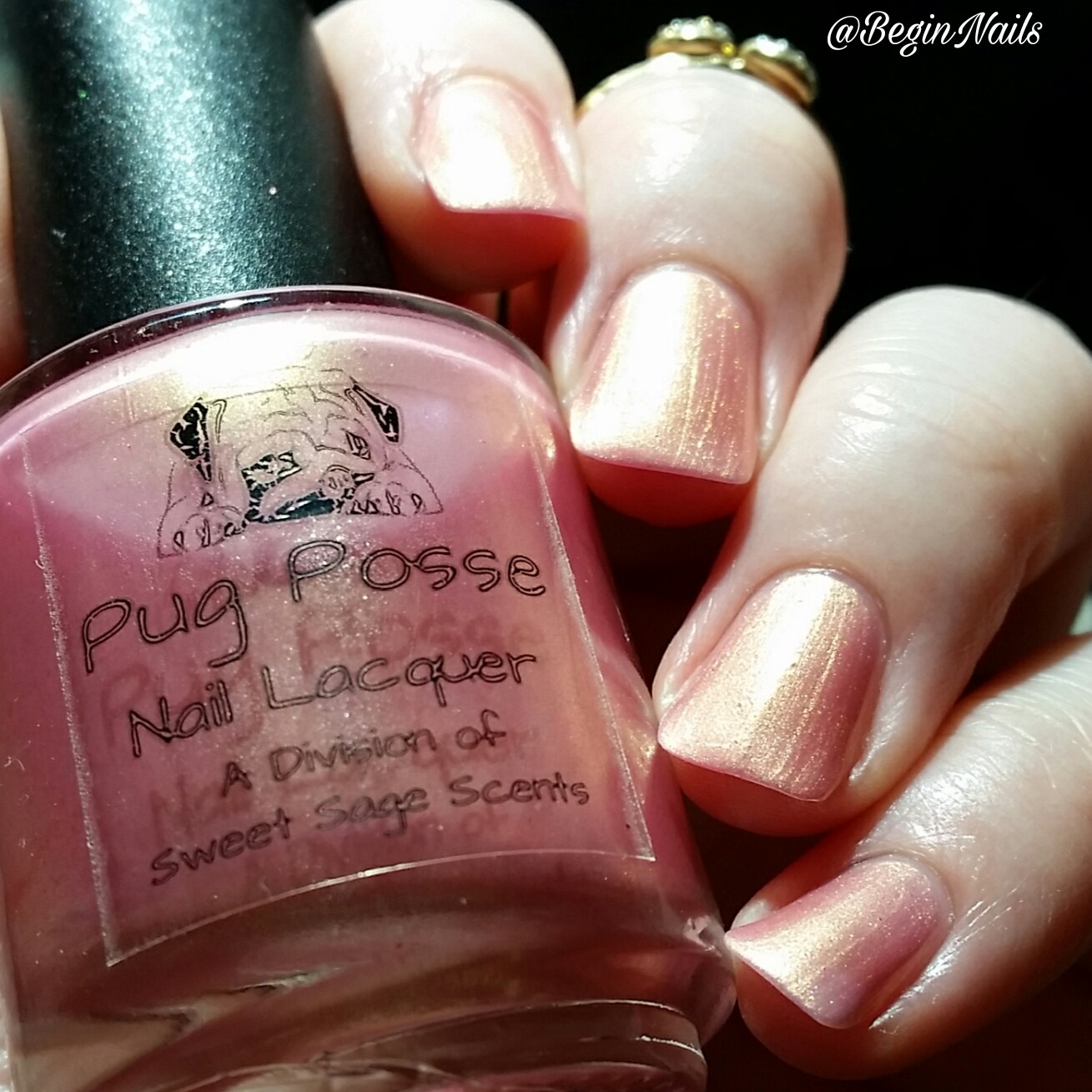 Let's Begin Nails: Pug Posse Nail Lacquer - Pug Love Collection Swatch ...