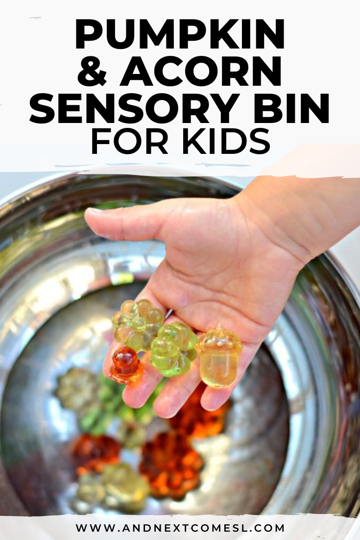 Pumpkin & Acorn Sensory Bin with Water | And Next Comes L - Hyperlexia ...