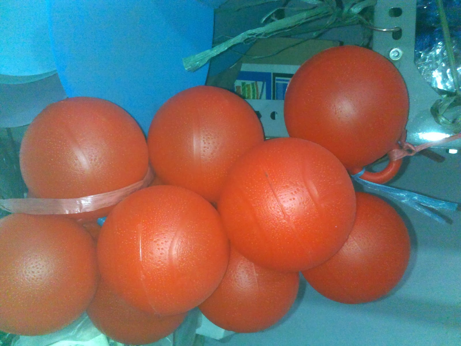 Rumput Laut Indonesia: Aneka Pelampung untuk Budidaya Rumput Laut ...