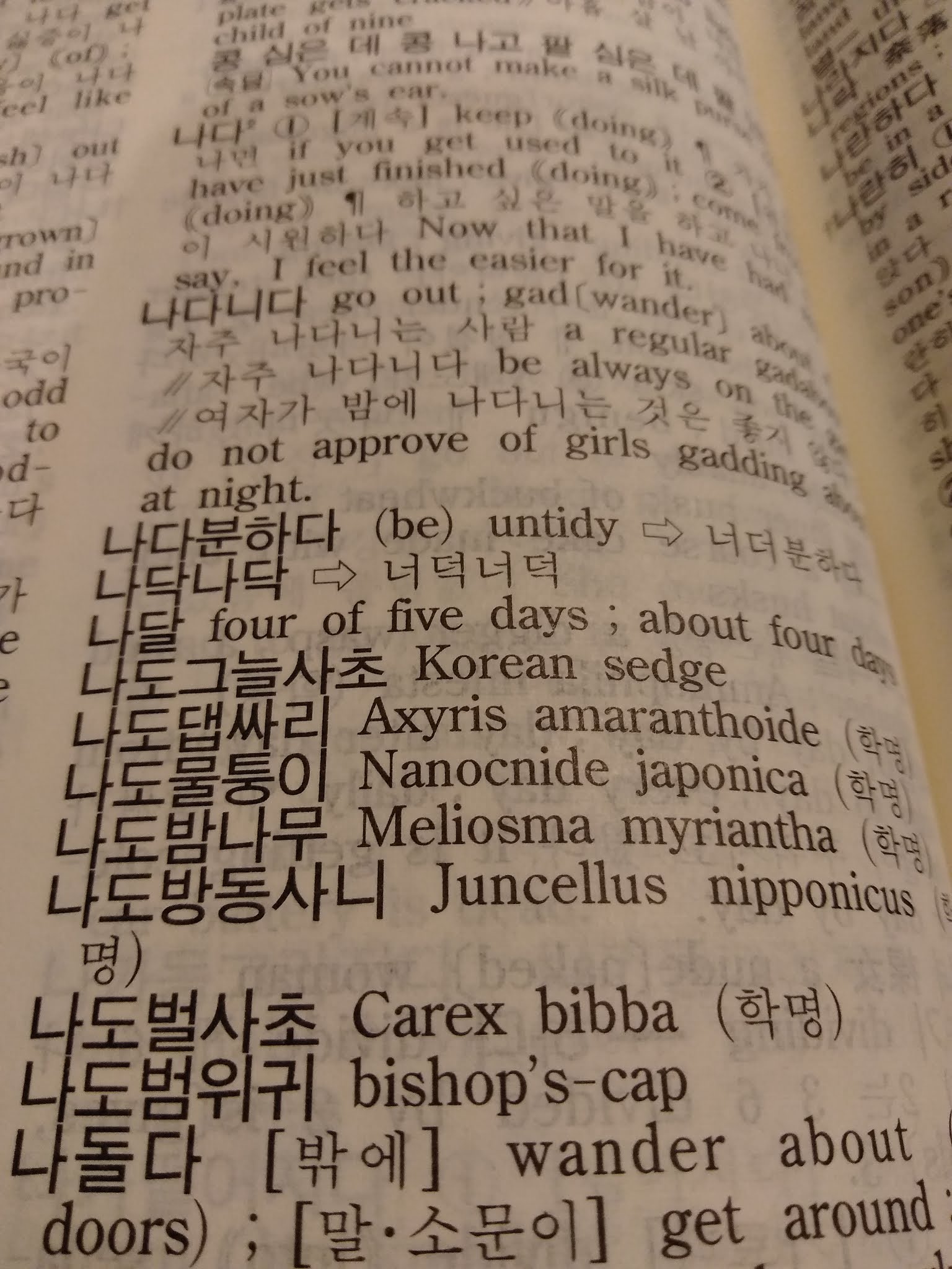 Korean Language Notes: 2020