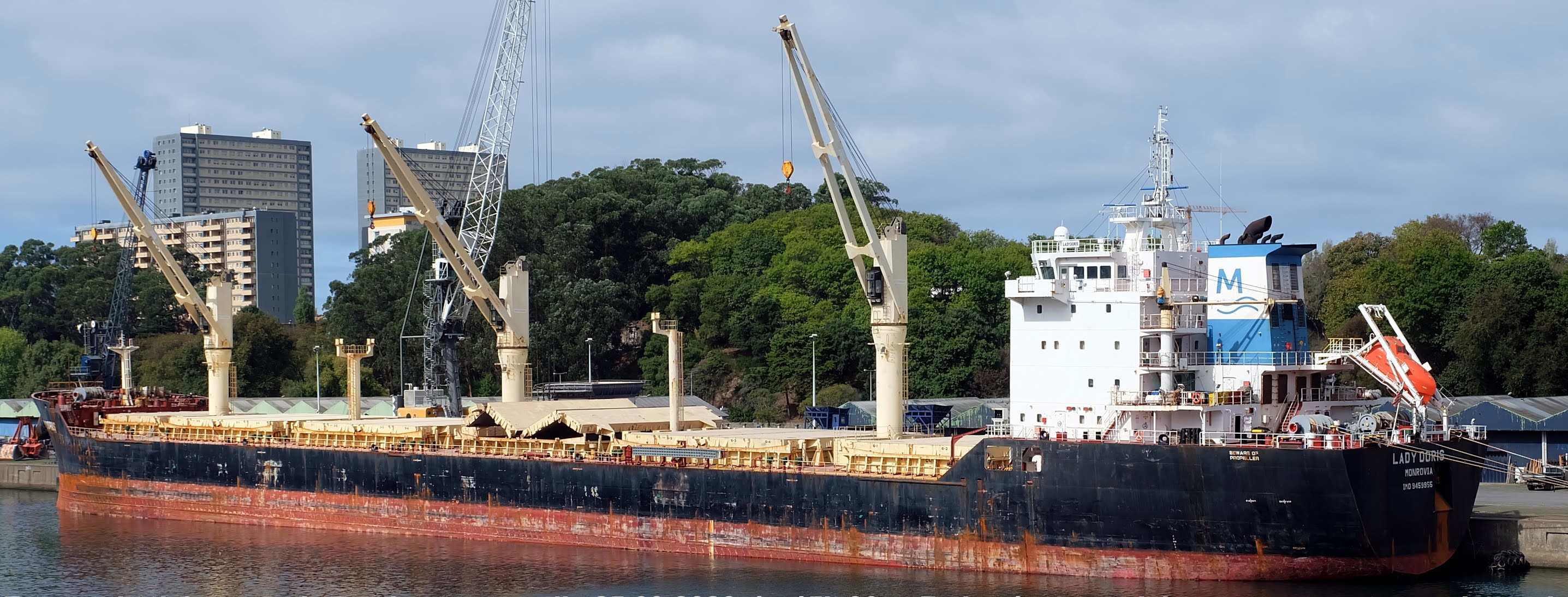 Novidades de Henrique Almeida Cayolla: Navio "LADY DORIS" - registo de ...
