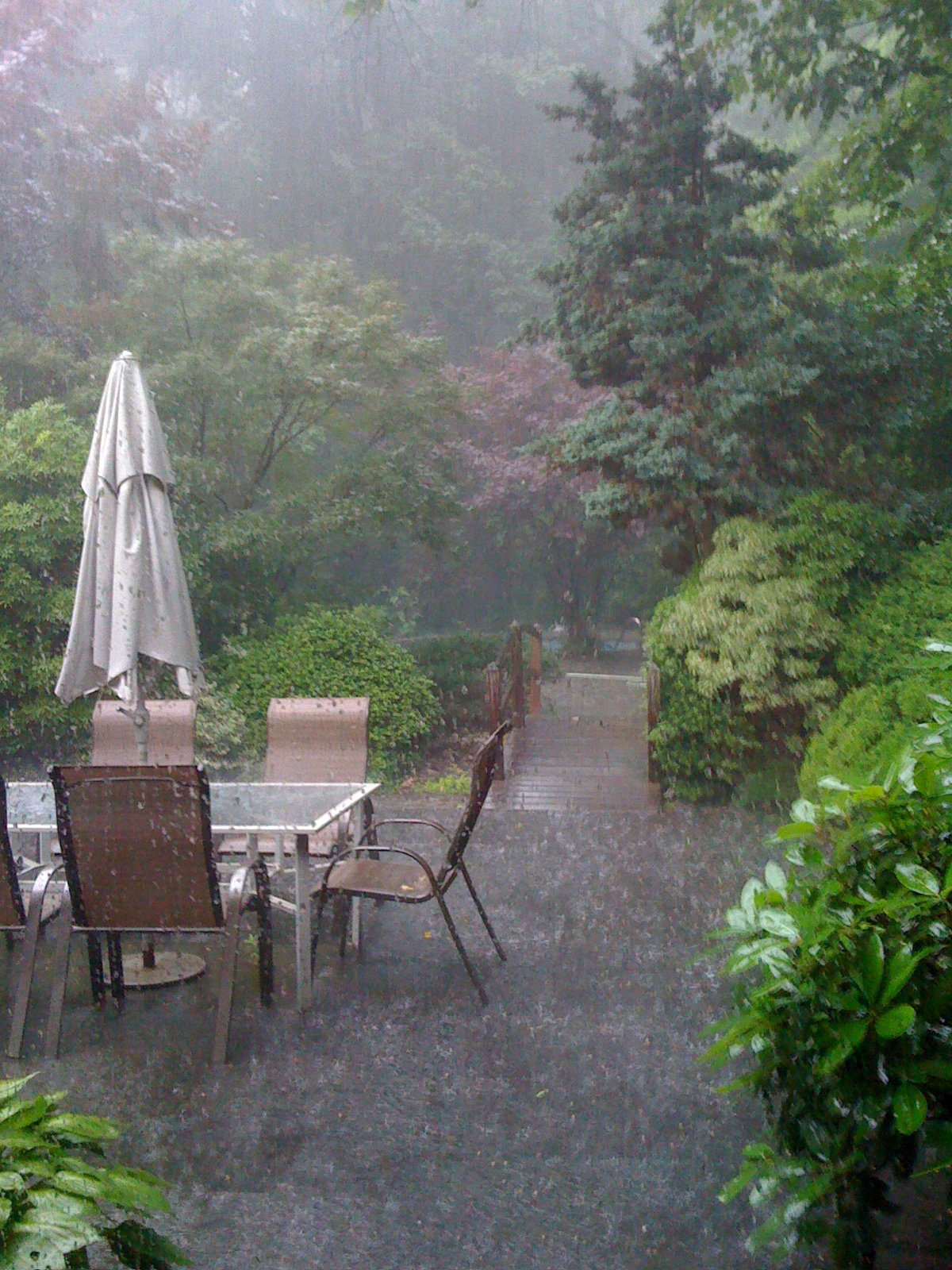 The Cool House: June 2011