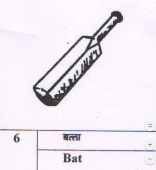 Election Symbols Bat