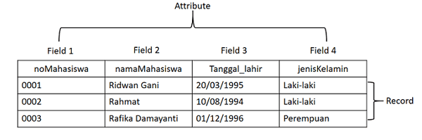 Cod Fisz: Jenjang Data Dalam Basis Data