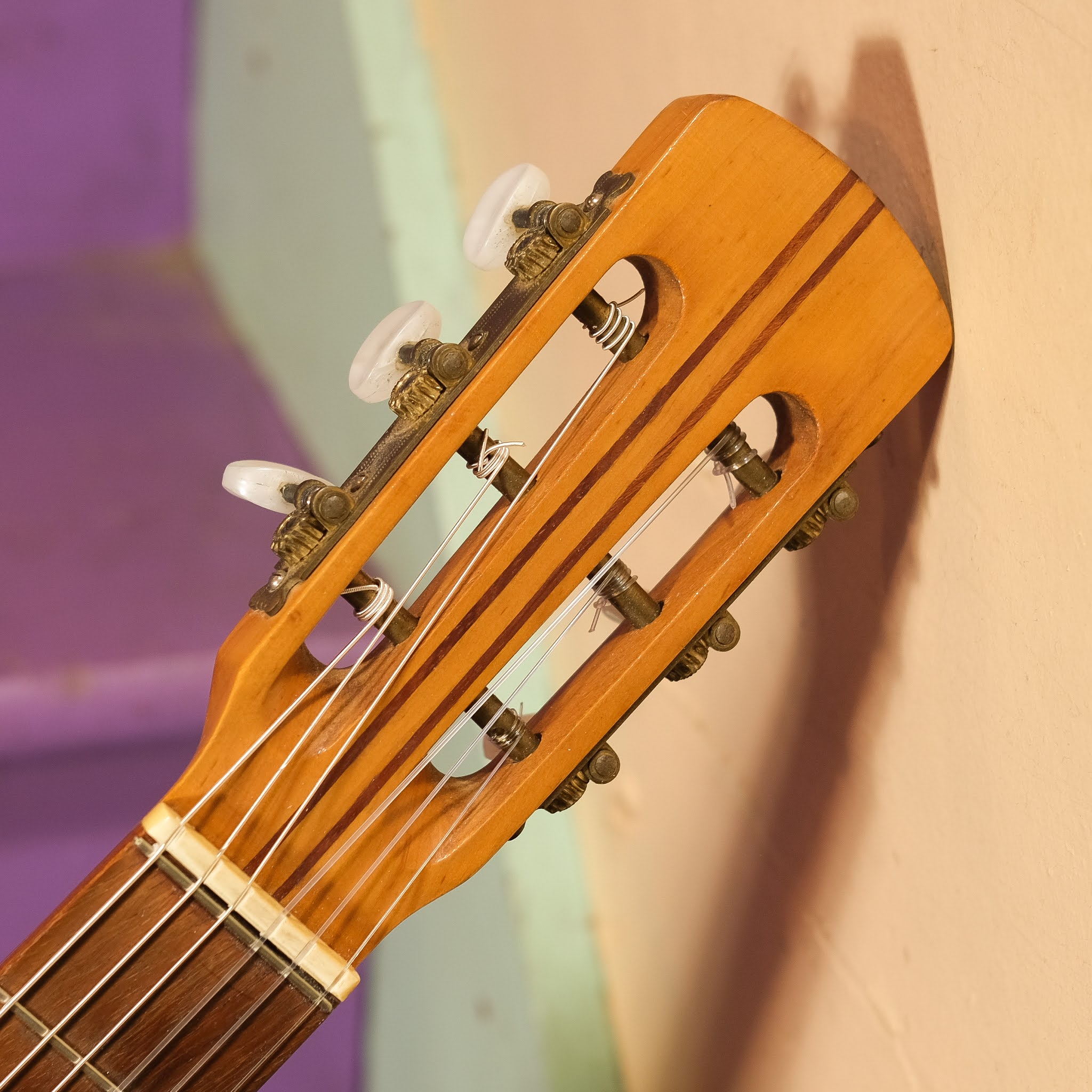 1960s/2021 Wildwood Frankenstein Classical Banjo-Guitar