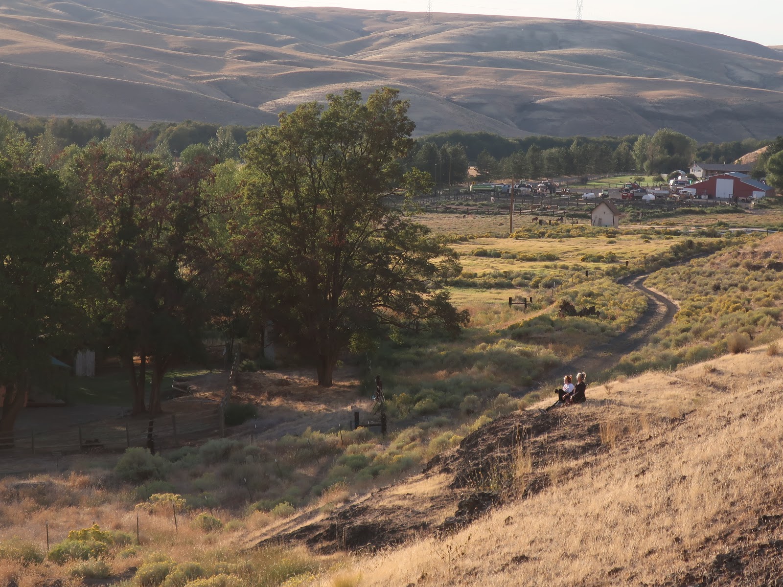Reading the Washington Landscape: Starbuck IN A LANDSCAPE