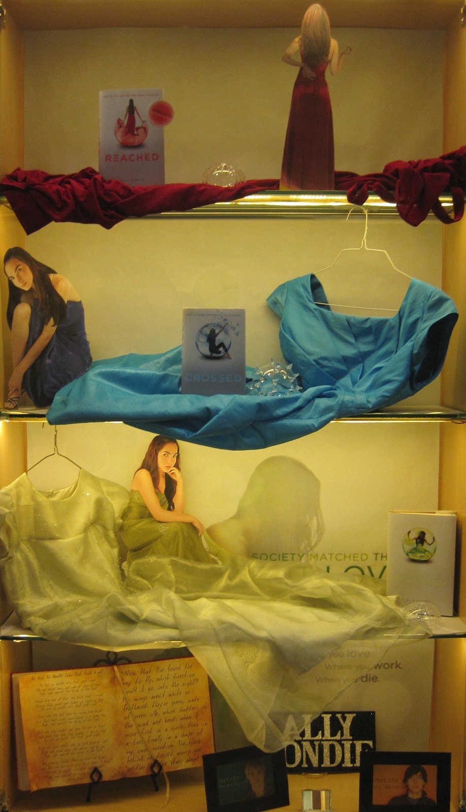 Display - Ally Condie's Matched Trilogy