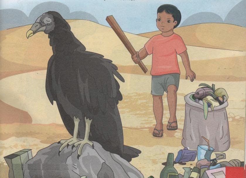 Naylamp Abracitos: Cuento: El Señor Gallinazo Vuelve a Lima