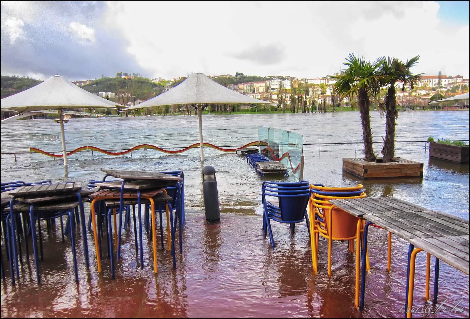 UM PIGO DE LUZ: Docas e as Cheias do Mondego / Coimbra