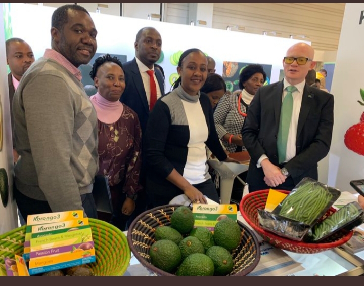 MBOGAMBOGA NA MATUNDA KUPATA SOKO KATIKA NCHI ZA ULAYA - MICHUZI BLOG