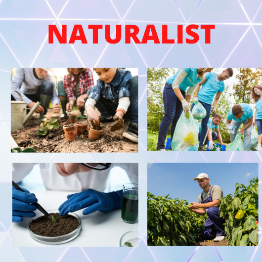 MULTIPLE INTELLIGENCE: NATURALIST